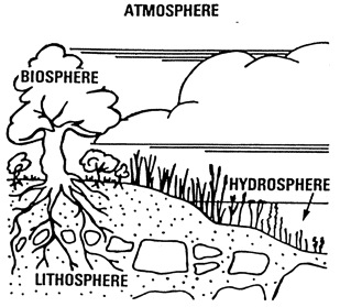 What are the levels of organisation in the biosphere? | Mireille Enviro ...